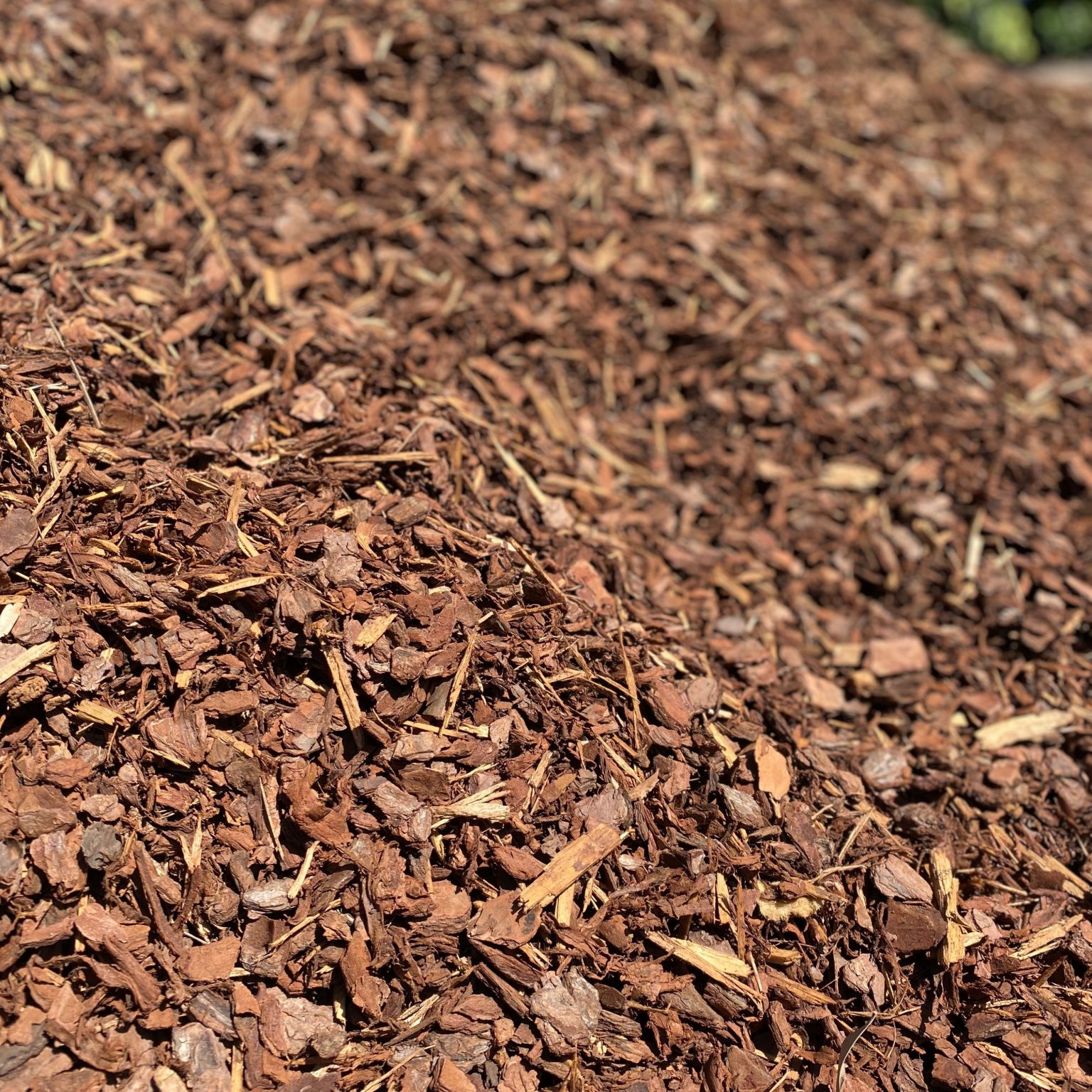 25mm Slash Pine Bark - CSG Landscapes