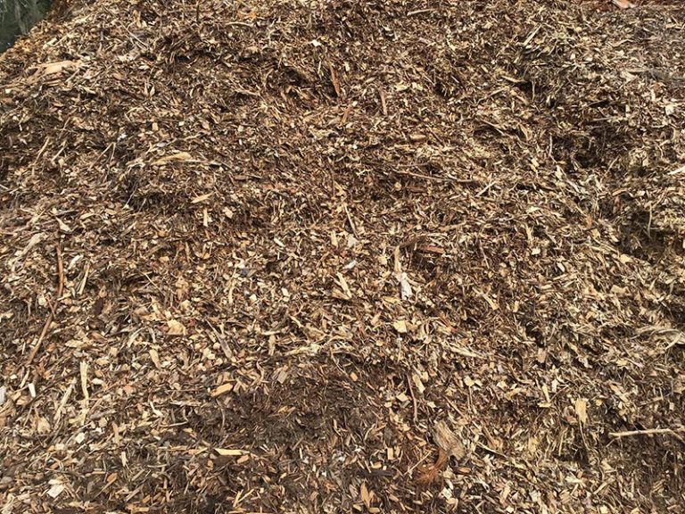Forest Mulch - CSG Landscapes